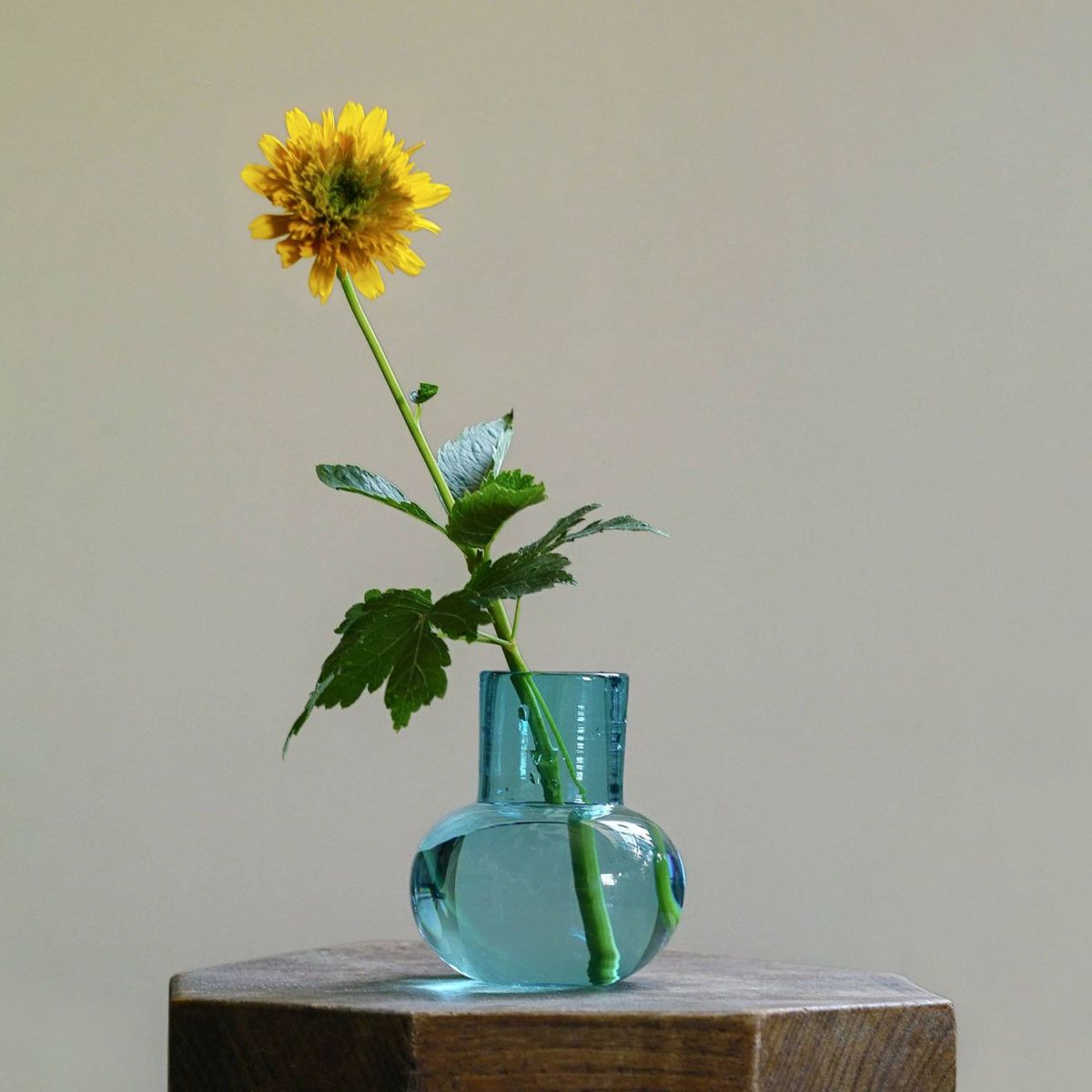 TOUMEI | HIGHTIDE（ハイタイド）公式サイト